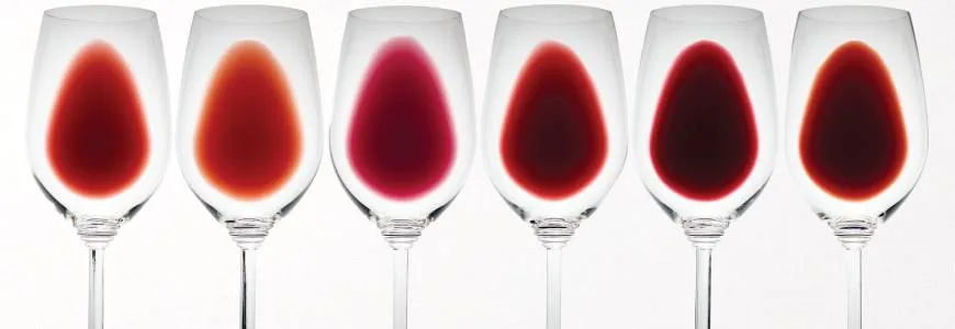 What Factors Determine the Color of Wine?